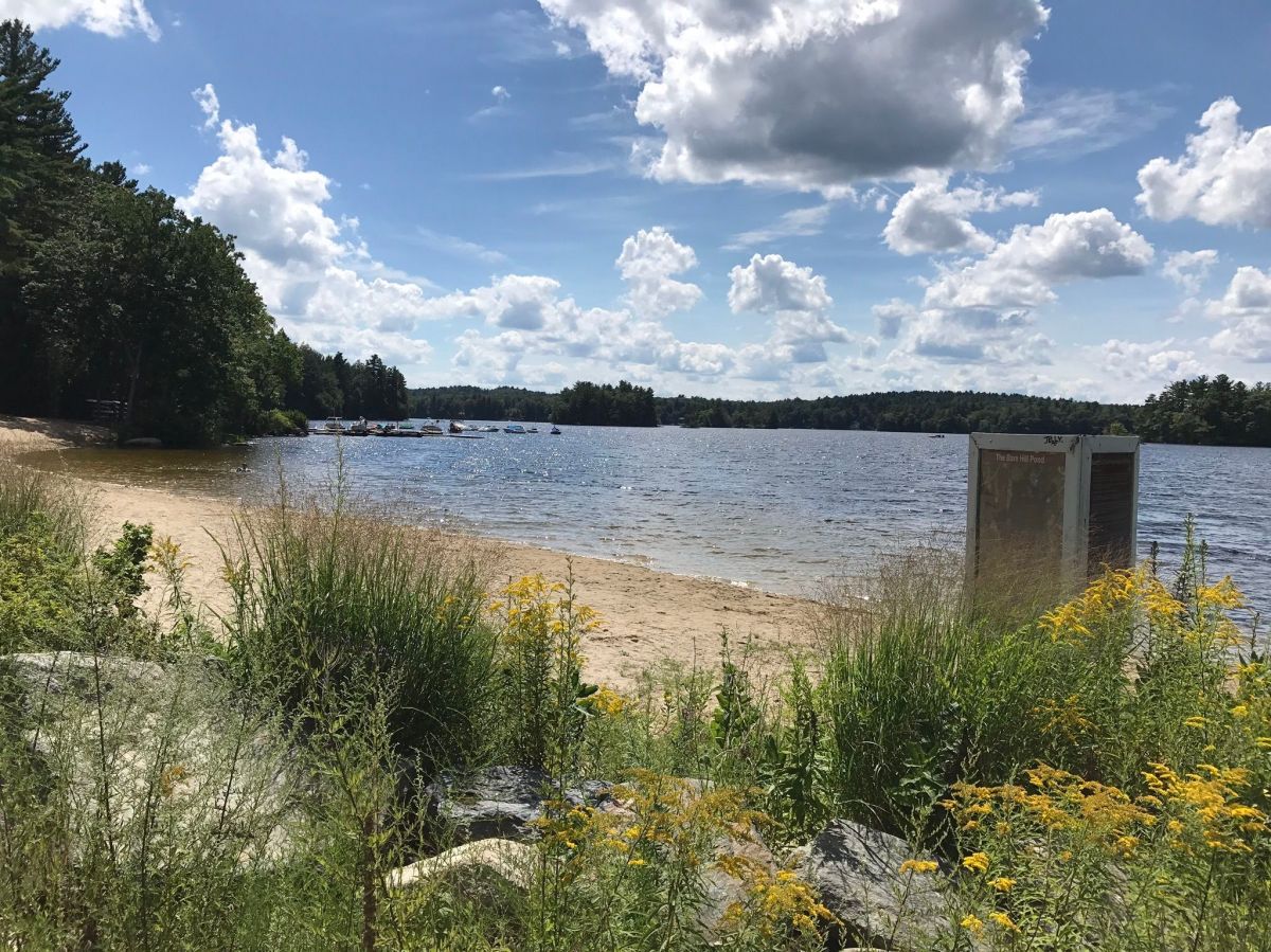 Take Bowers Spring And Bare Hill Trail To A Massachusetts Pond