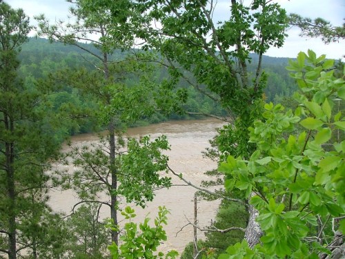 Explore Cahaba River National Wildlife Refuge in Alabama