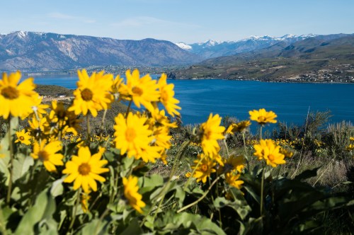 Springtime In Washington: 7 Must-Visit Destinations