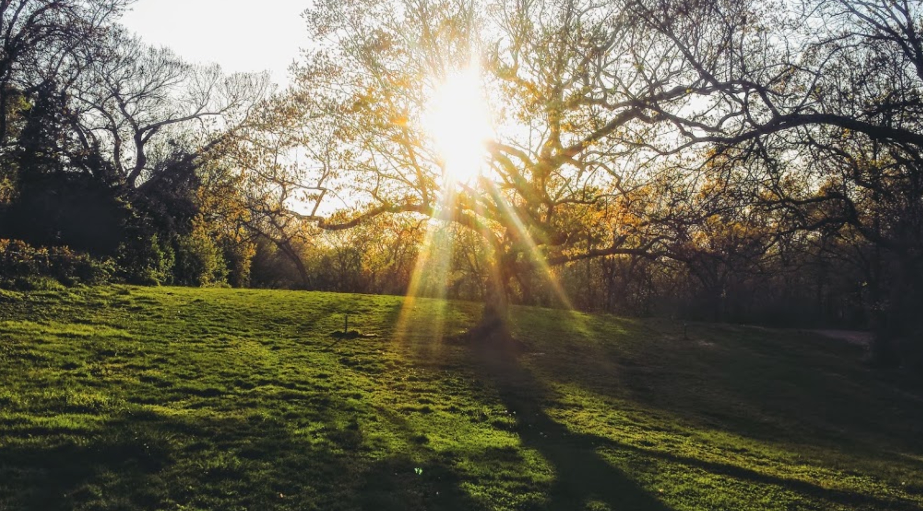 Try Your Hand At A Funky Disc Golf Course In Kansas’s Rosedale Park