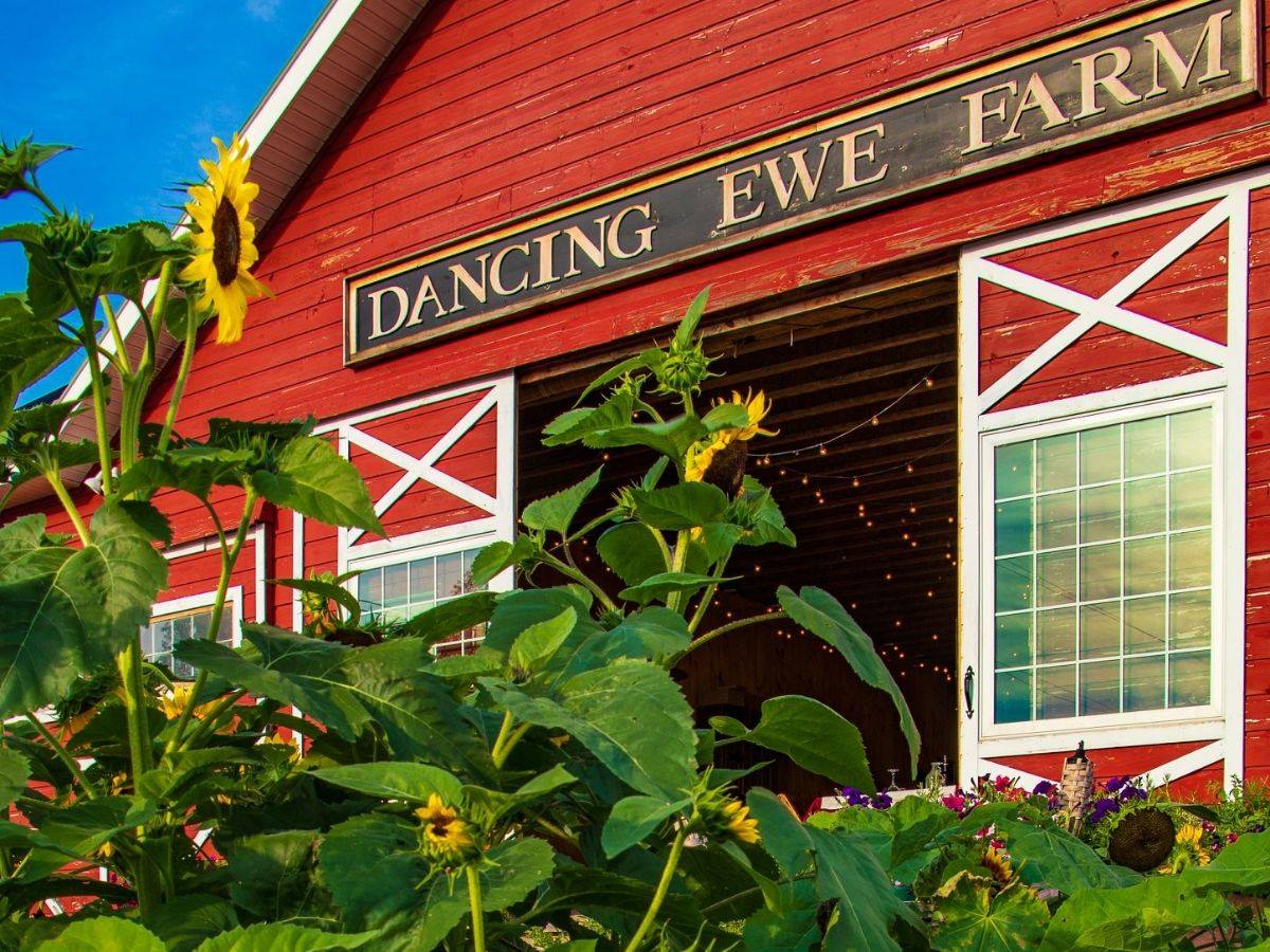 Enjoy Handcrafted Cheeses And Wines From This Tuscan-Style Family Farm ...