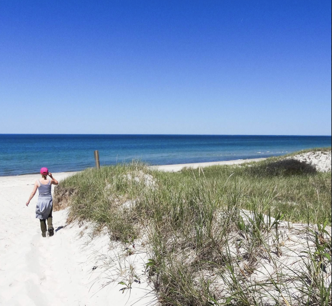 Follow A Path To The Waterfront At Sandy Neck Beach, Massachusetts