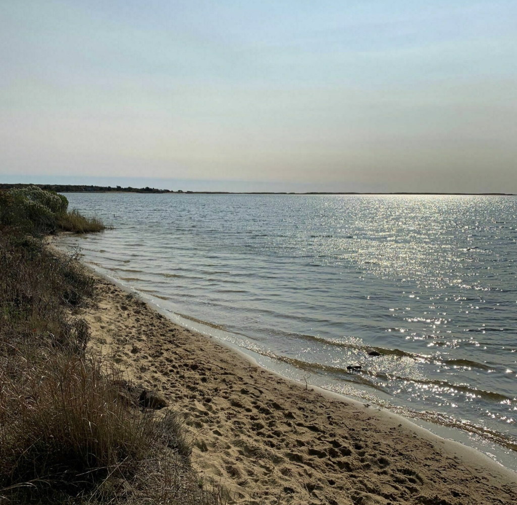 Hike The Tisbury Great Pond Hidden Beach Trail In Massachusetts