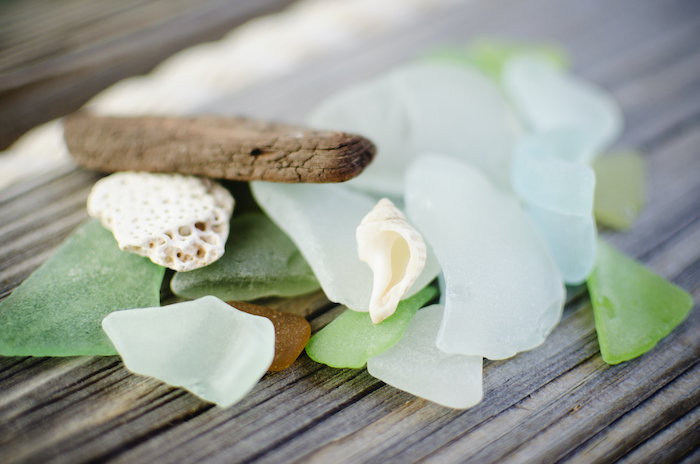 Bay Head Beach Is Best For New Jersey Sea Glass, Seashell Collectors