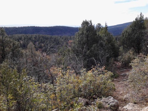 Hike Bosque Peak To Experience Magnificent Overlook In New Mexico