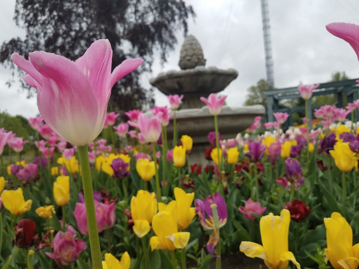 This Beautiful 40-acre Botanical Garden In Iowa Is A Sight To Be Seen