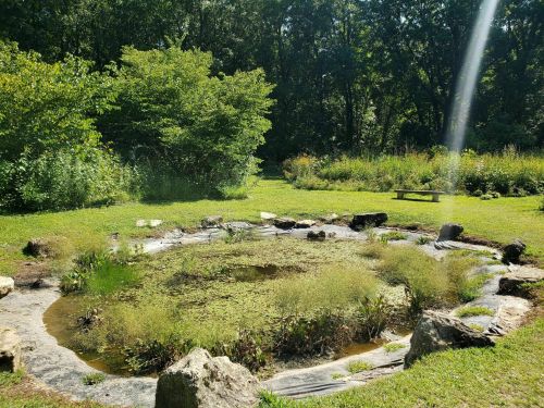 Visit A Butterfly Garden, Old Ruins, And Indian Mounds On This Hike