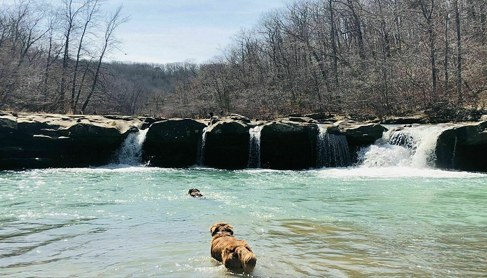 Visit Kings River Fall Underrated Natural Pool Today
