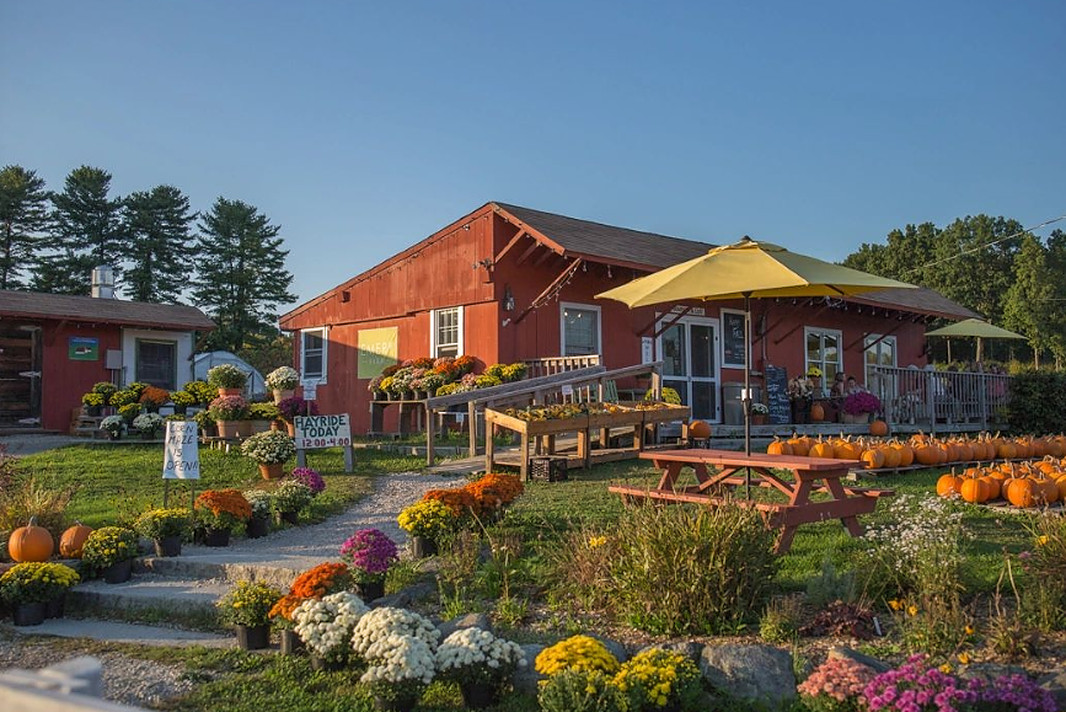 The Emery Farm Petting Zoo In New Hampshire Is Admission Free
