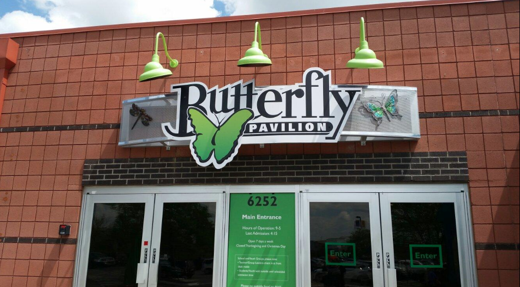 The Butterfly Pavilion In Colorado Is Home To The State’s Largest ...
