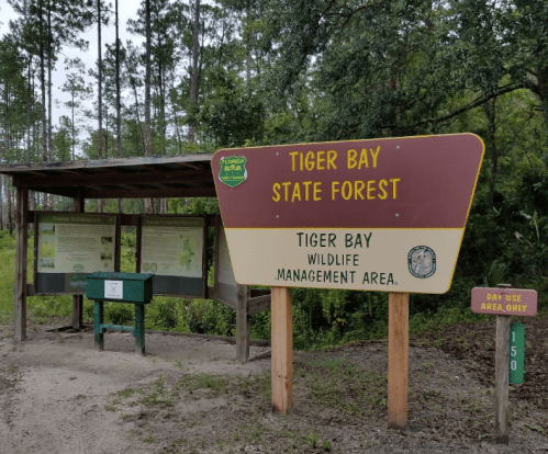 Tiger Bay State Forest In Florida Is 27,000 Acres Of Natural Beauty