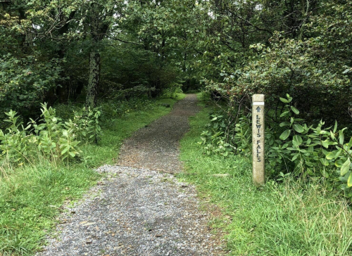 Lewis Spring Falls Trail: A Virginia Waterfall Trail With Mountain Views