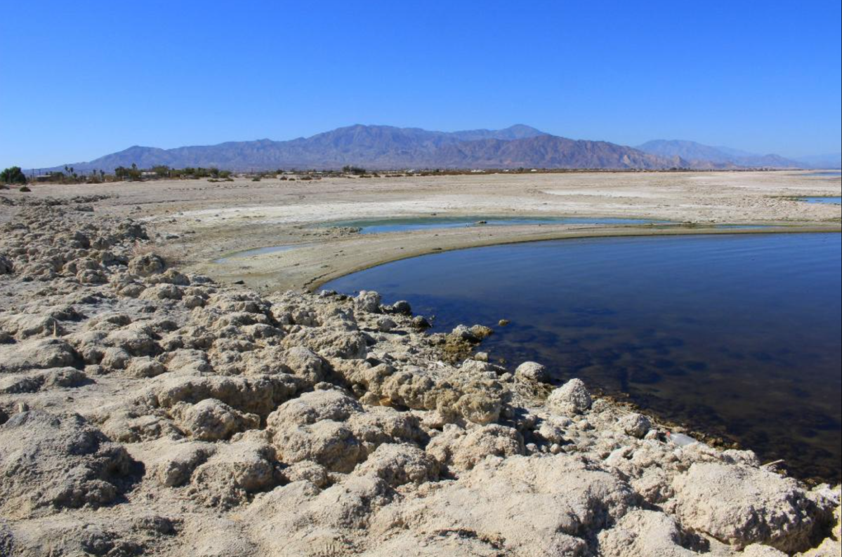 The Salton Sea In SoCal Has An Entire Beach Made of Fish Bones
