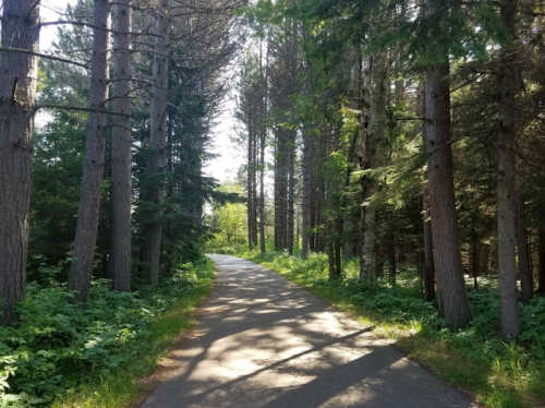 Iona's Beach, A Unique Beach In Minnesota, Is Always Worth It