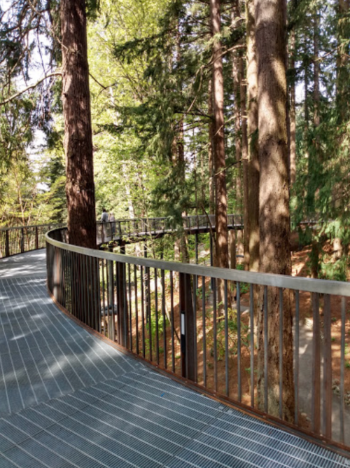 There's An Aerial Tree Walk in Oregon At Leach Botanical Garden