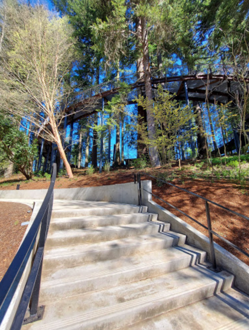 There's An Aerial Tree Walk in Oregon At Leach Botanical Garden
