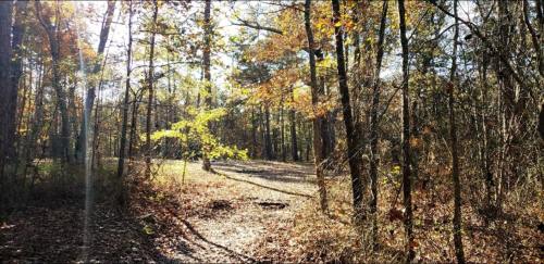 Devil's Tramping Ground Is One Of North Carolina’s Most Haunted Places