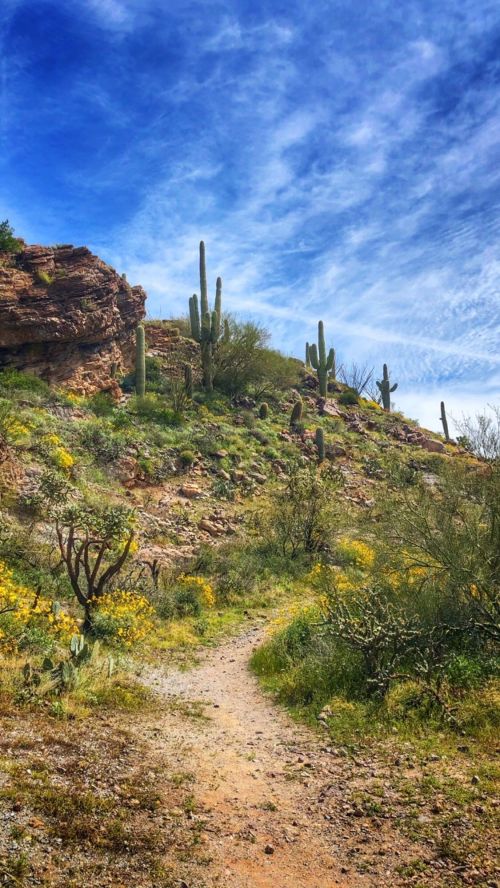 Hike To An Abandoned Arizona Mine On Apache Tears Mine Trail
