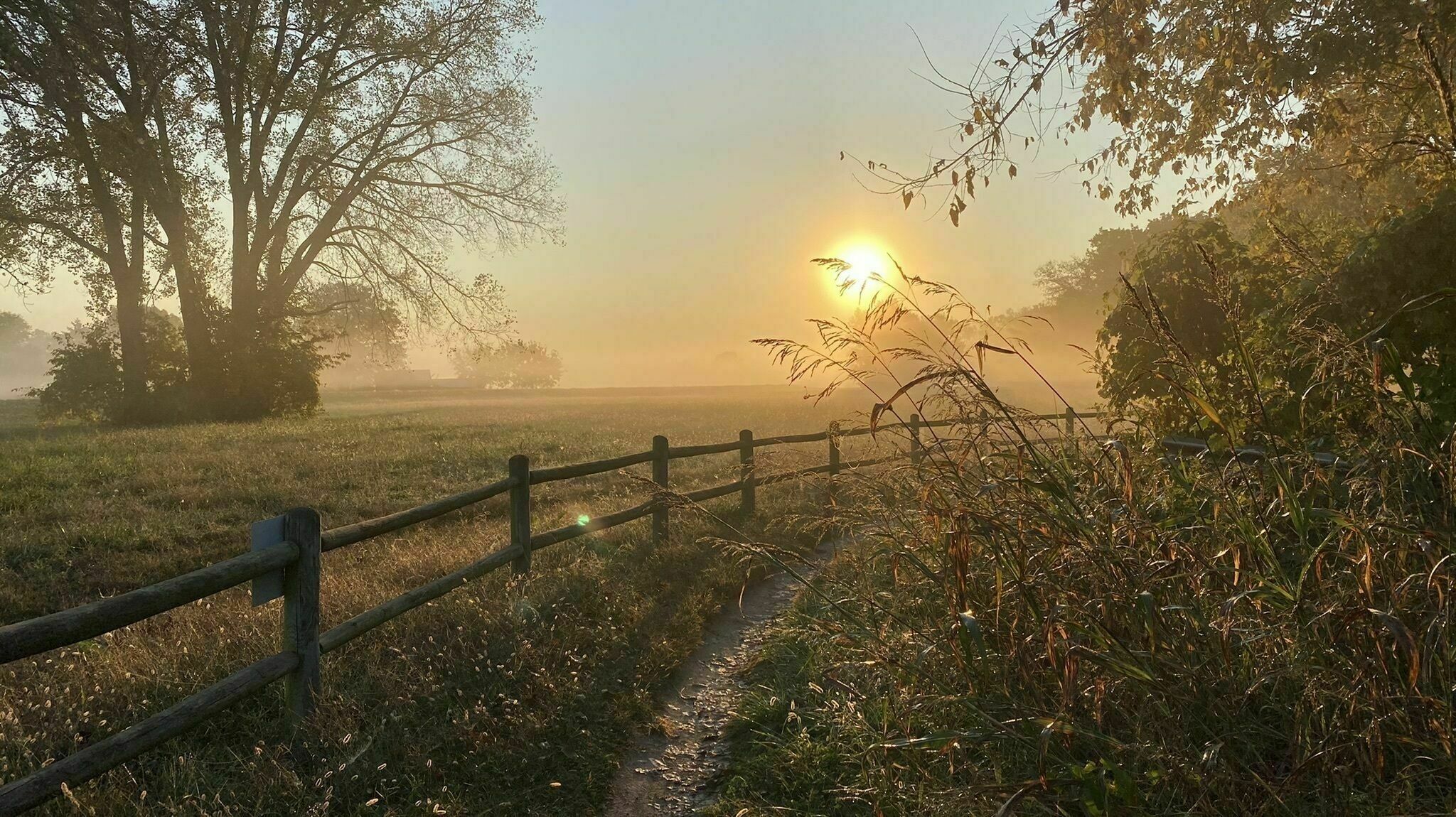 Kansas River Trail Is A Gorgeous Forest Trail In Kansas That Will Take ...