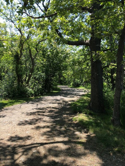 Hike Along The Easy And Scenic Halibut Point Trail In Massachusetts