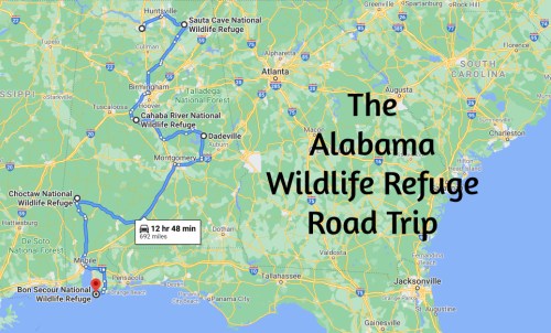 Explore Alabama's Top 5 National Wildlife Refuges