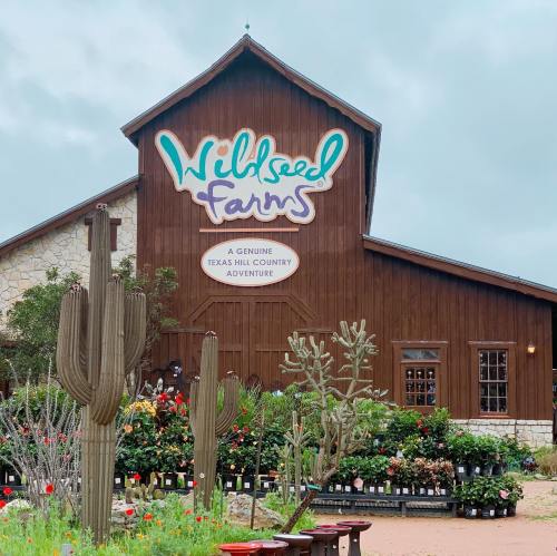 Wildseed Farms, The Nation's Largest Wildflower Farm, Is In Texas