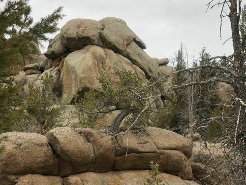 Turtle Rock Trail In Wyoming Has Towering Rock Formations