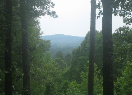 6 Incredible Natural Wonders In Louisiana That You Can Witness For Free