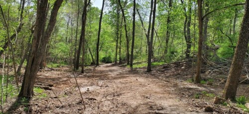 Dig For Quartz At The Unique Haunted Ridge Rocks In Missouri