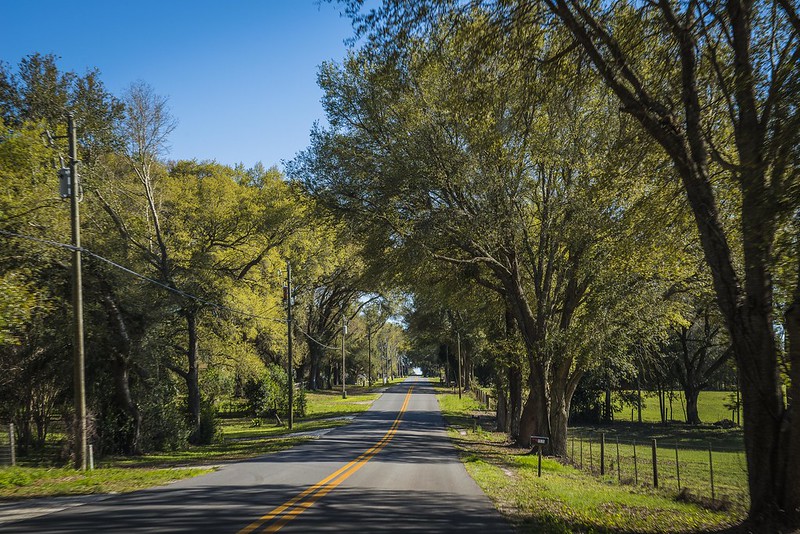 Hop In Your Car And Take Big Bend Scenic Byway For An Incredible 220 ...
