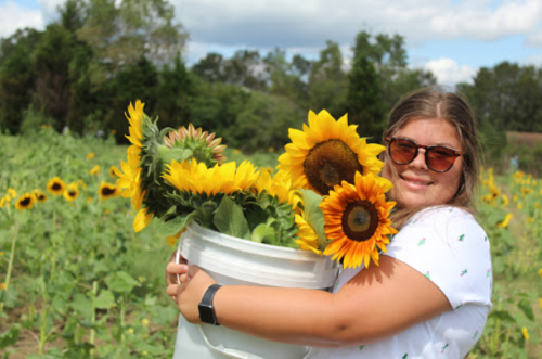 Visit Coastal Ridge Farm, A 15-Acre U-Pick Sunflower Farm In Mississippi
