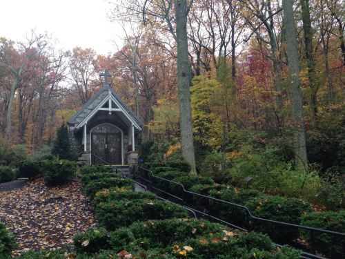 Seek Out National Shrine Grotto Of Our Lady Of Lourdes In Maryland