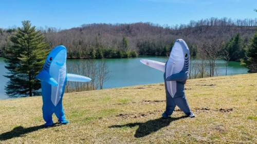 Visit Lake Stephens This Summer For A Fun Beach Adventure