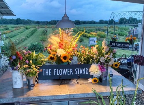 You Can Pick Your Own Flowers At The Flower Stand In Springville