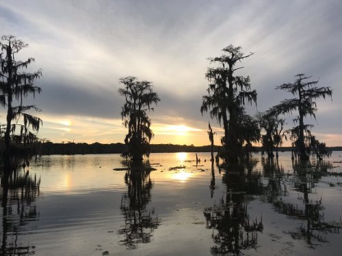 6 Incredible Natural Wonders In Louisiana That You Can Witness For Free