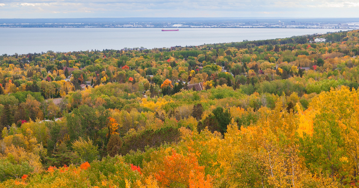Take These 14 Scenic Drives In Minnesota For The Best Views