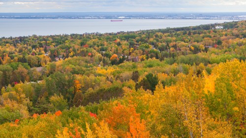 Take These 14 Scenic Drives In Minnesota For The Best Views