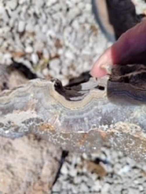 Dig For Quartz At The Unique Haunted Ridge Rocks In Missouri