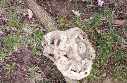 Dig For Quartz At The Unique Haunted Ridge Rocks In Missouri