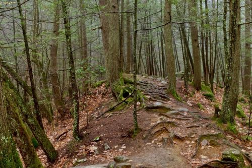 Hike To Waterfalls On The Buffam Falls White Trail In Massachusetts