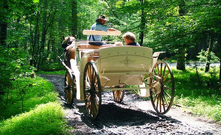 Take A Carriage Ride Through The Mountains For A Truly Unique Tennessee ...