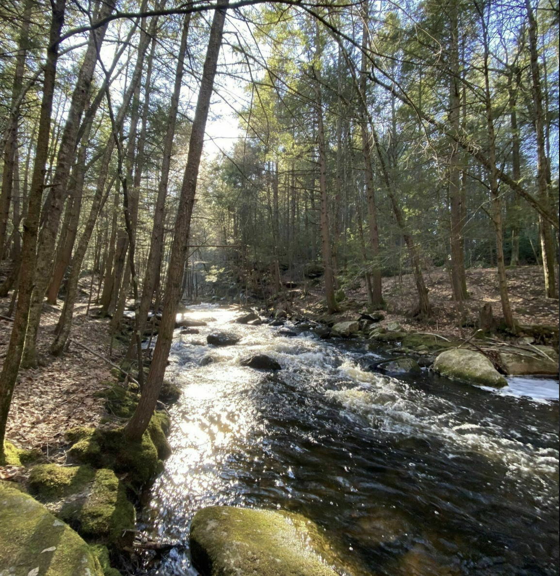 Hike To Waterfalls On The Buffam Falls White Trail In Massachusetts