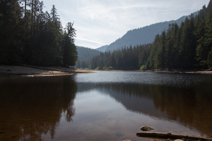 Take A Short Hike To Washington's Barclay Lake For Great Views