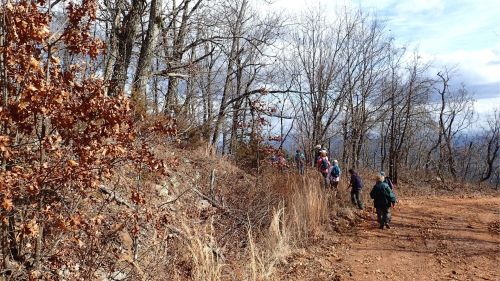 This Hike At McFerrin Point Leads To A Scenic View Over Arkansas