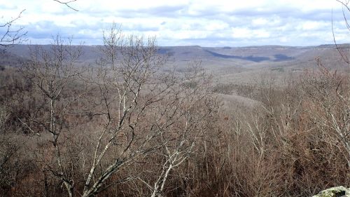 This Hike At McFerrin Point Leads To A Scenic View Over Arkansas