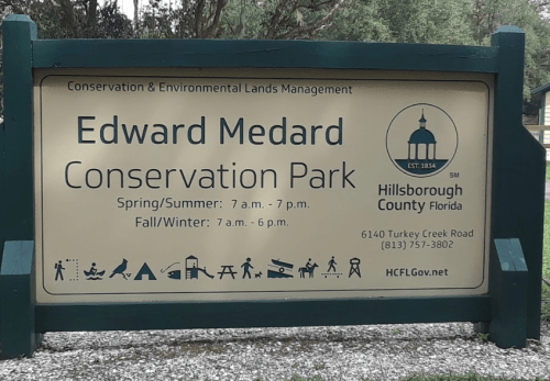 There Is A Magical Tree In Edward Medard Conservation Park In Florida