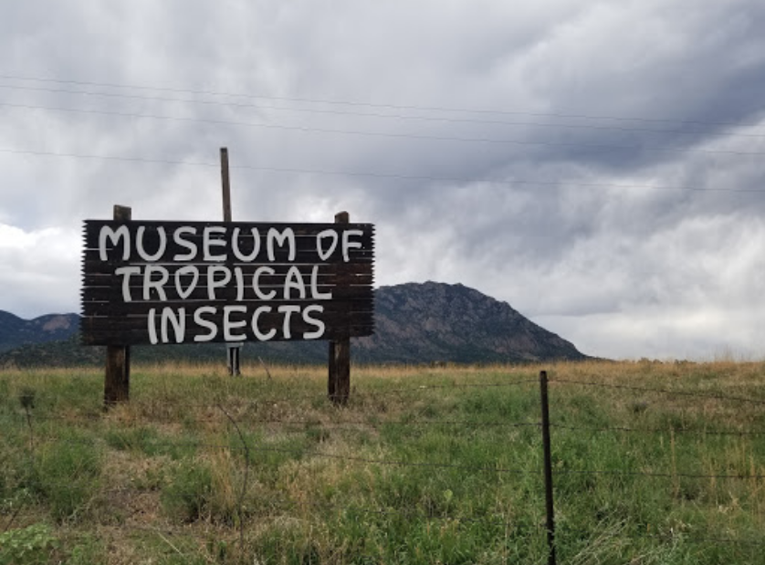 May’s Bug Museum Is Colorado's Weirdest Road Side Attraction