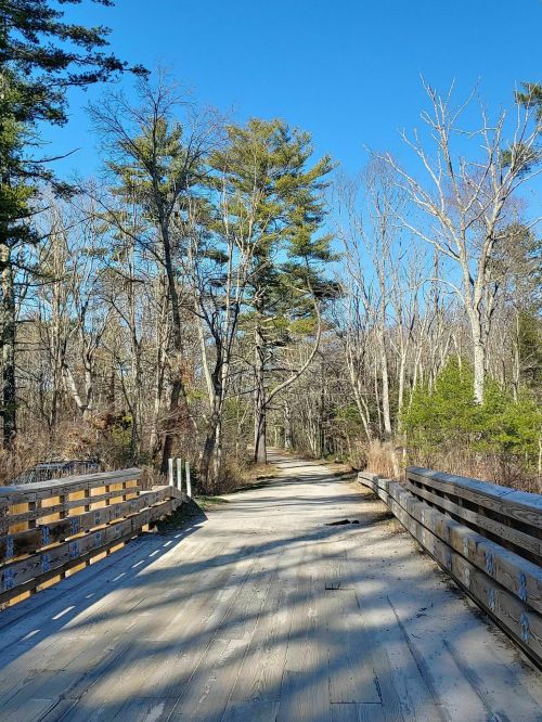 Ben Utter Trail In Rhode Island Will Lead You Straight To Stepstone Falls