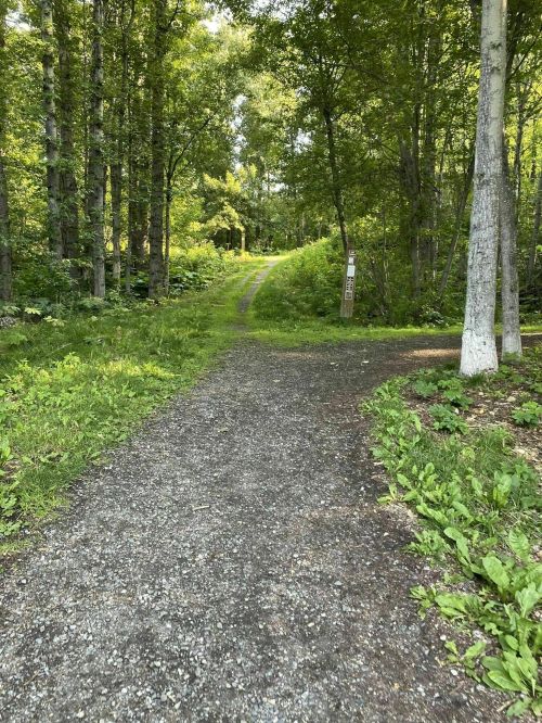 Hike The Breathtaking Turnagain Arm Trail In Alaska