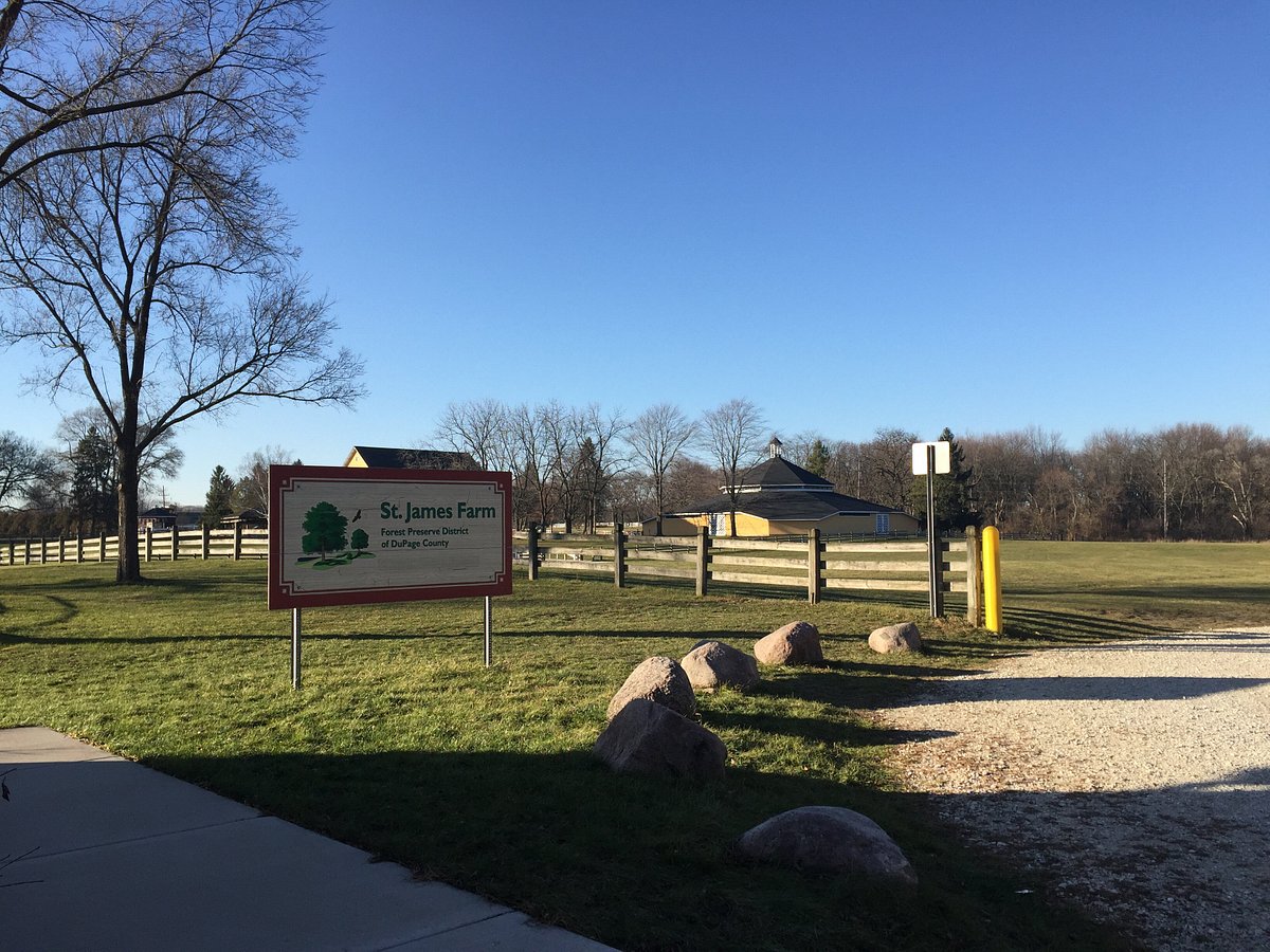 Take A Trail Through Illinois' Enchanting St. James Farm Forest Preserve